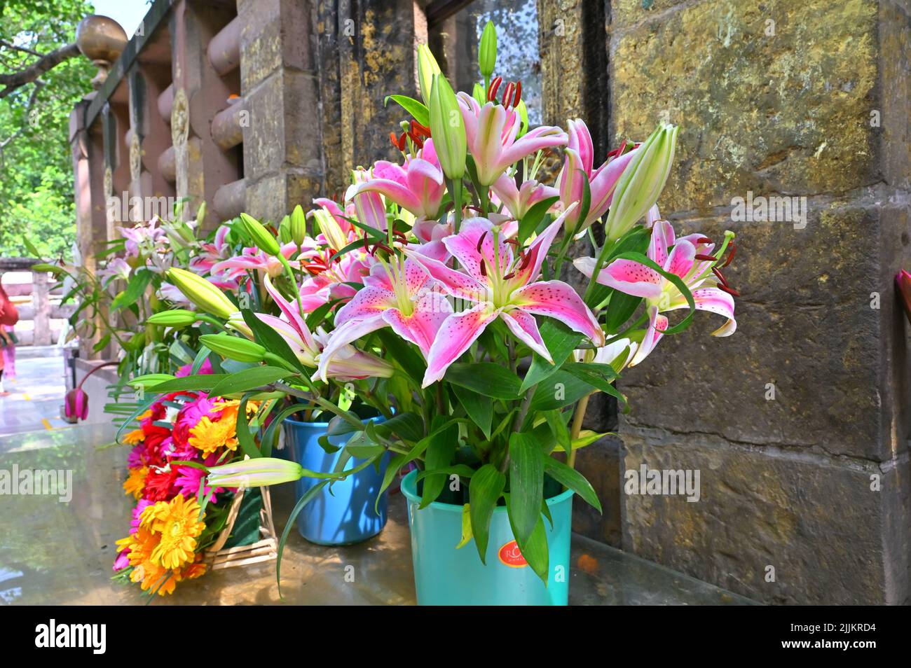 A bouquet of flowers offered to Buddha at Bodhi tree at Mahabodhi ...