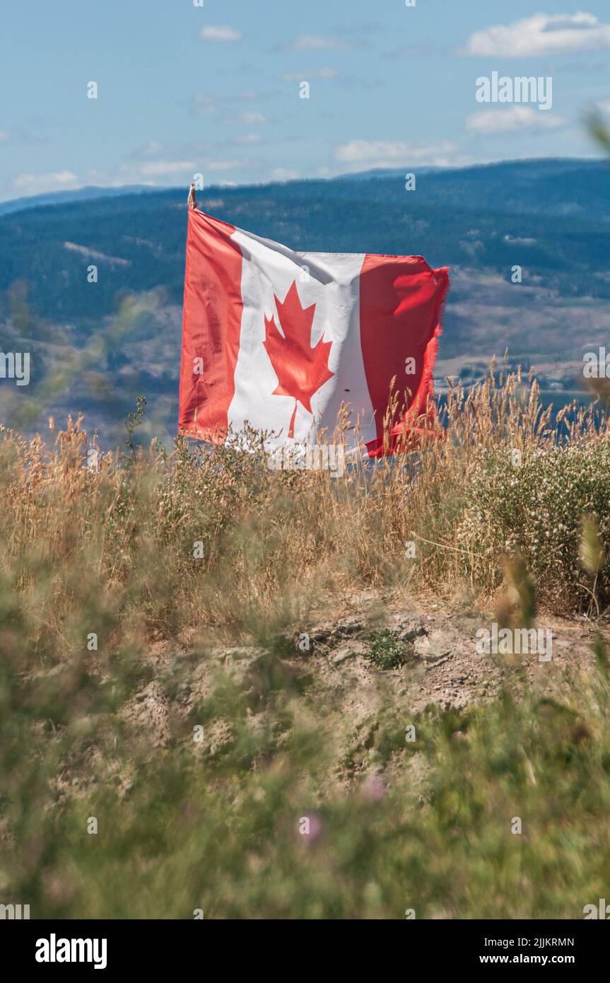 A vertical shot of the Canadian flag in a green field against forested ...