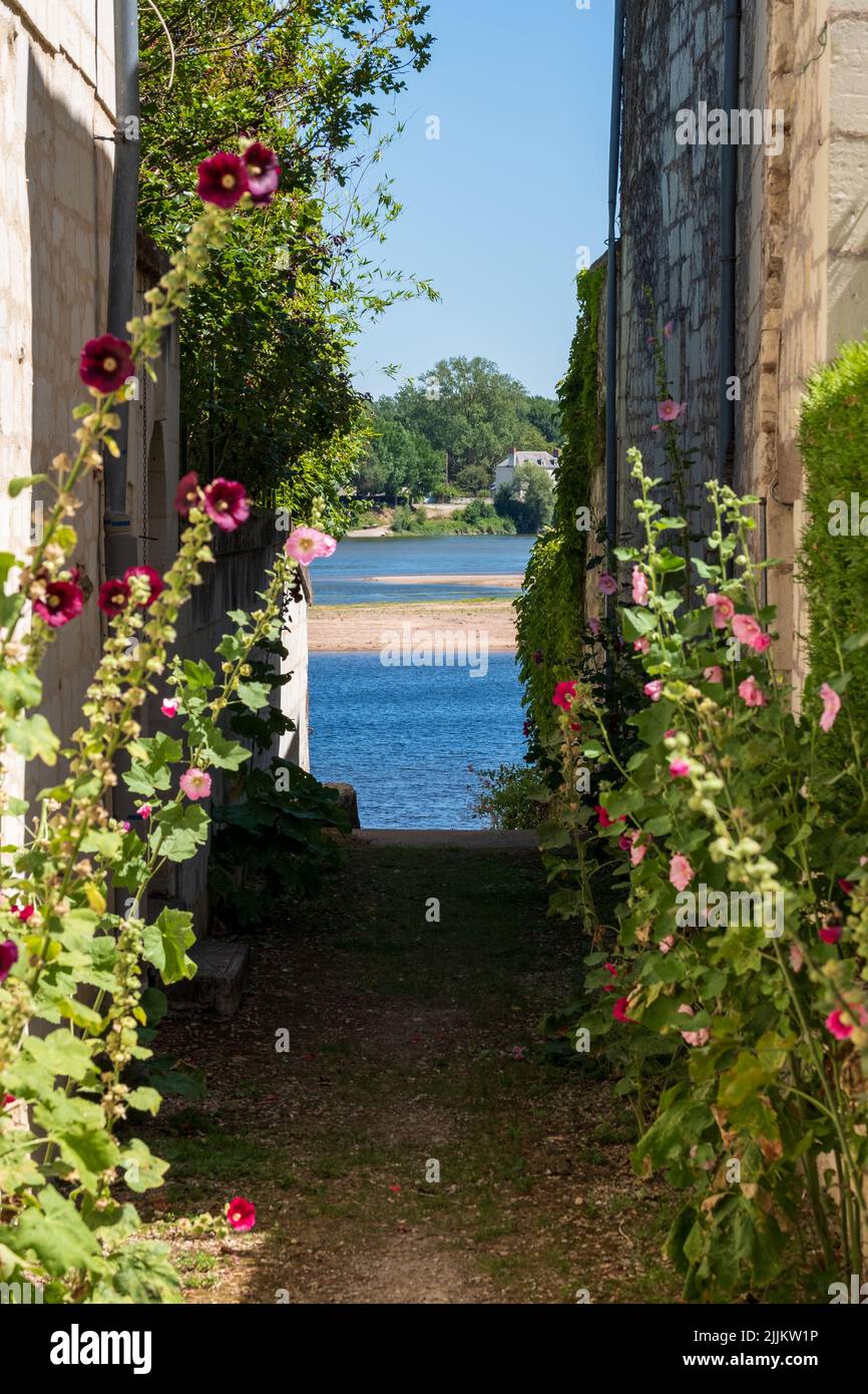 Beautiful village of Candes Saint Martin, located at the confluence of ...