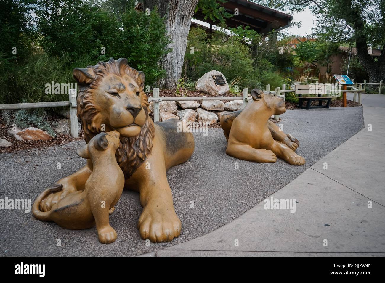 The sculptures of lion family at zoo in Salt Lake City, Utah Stock ...