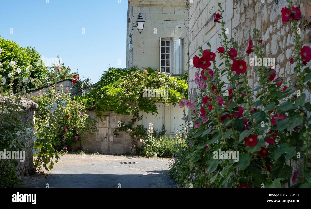Beautiful village of Candes Saint Martin, located at the confluence of ...