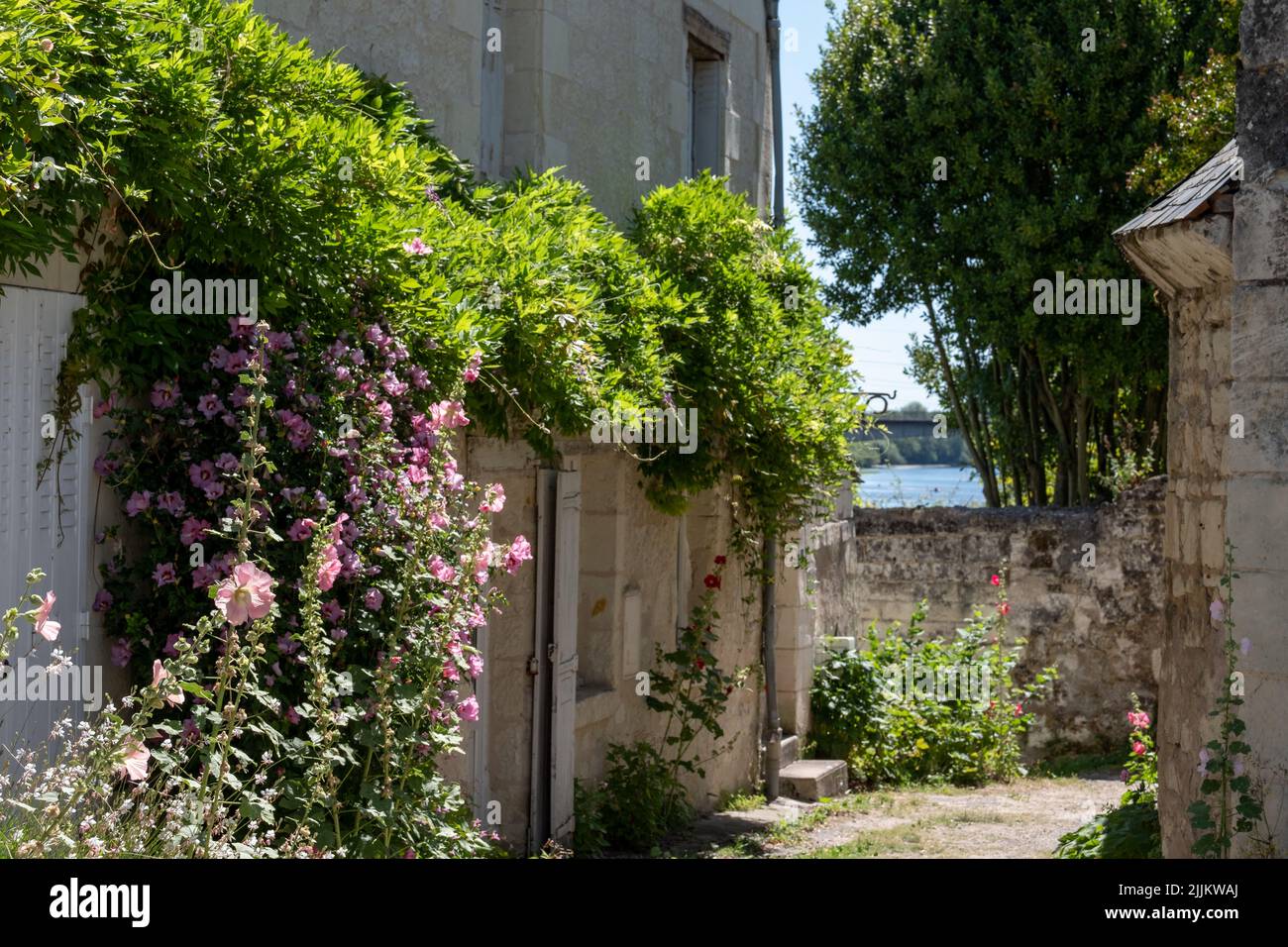 Beautiful village of Candes Saint Martin, located at the confluence of ...