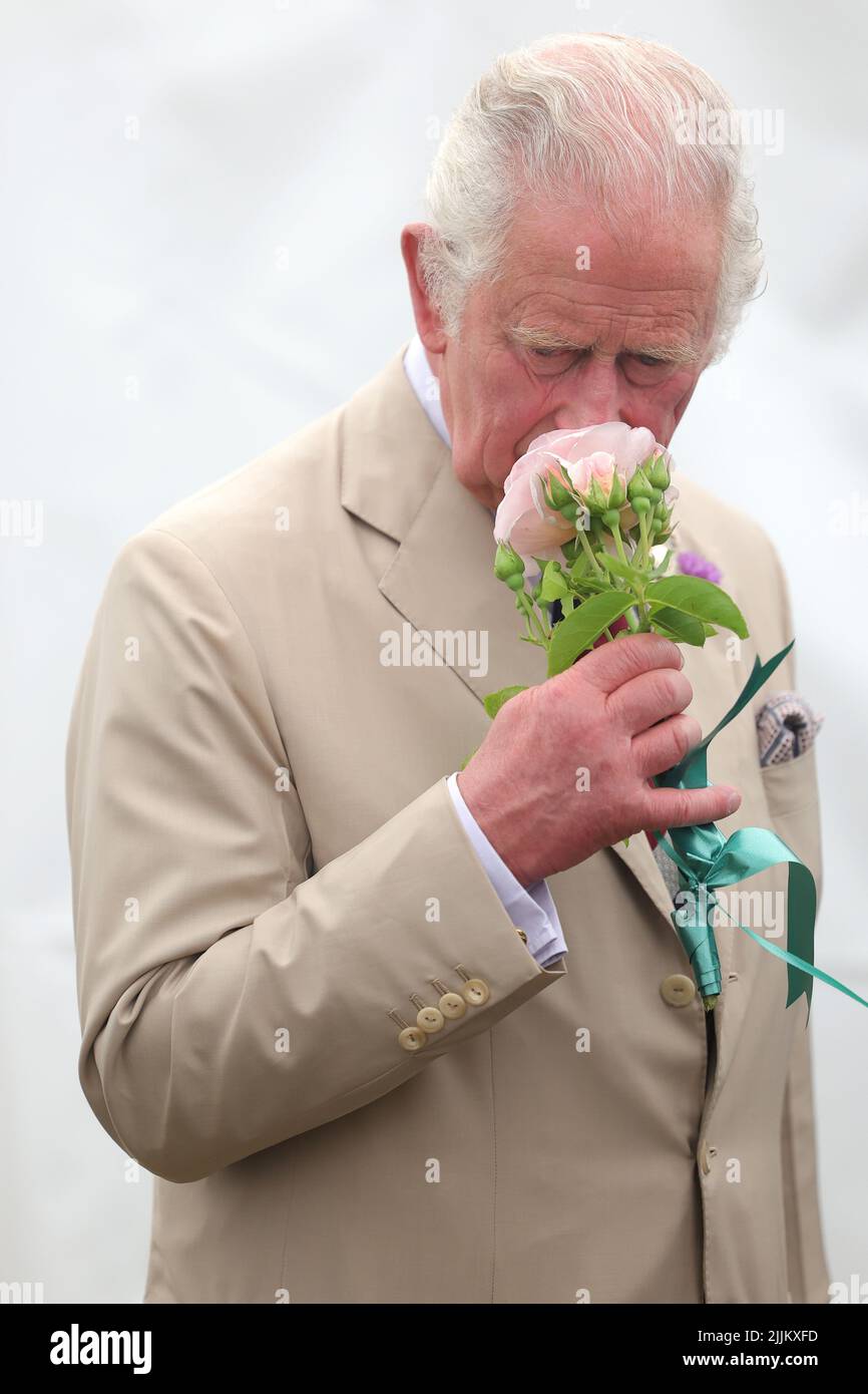 Sandringham flower show 2022 hi-res stock photography and images - Alamy