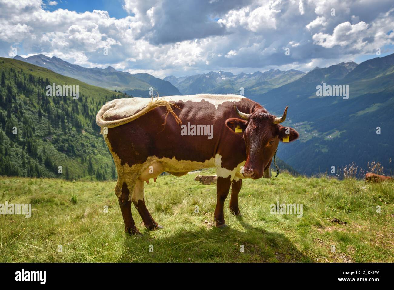 Picturesque mountain scenery hi-res stock photography and images - Alamy