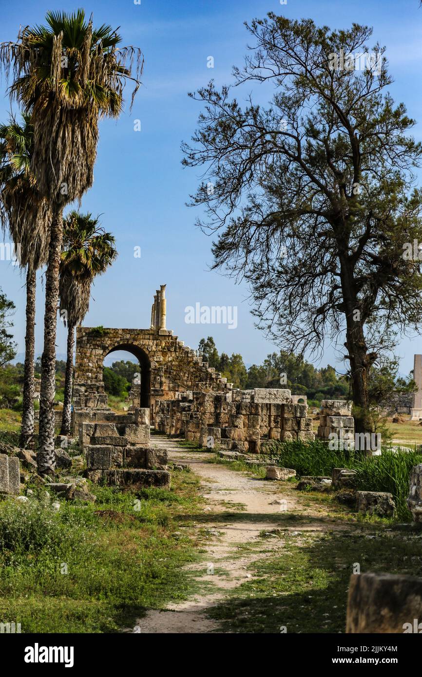 The historic ruins at Tyre, Lebanon Stock Photo - Alamy