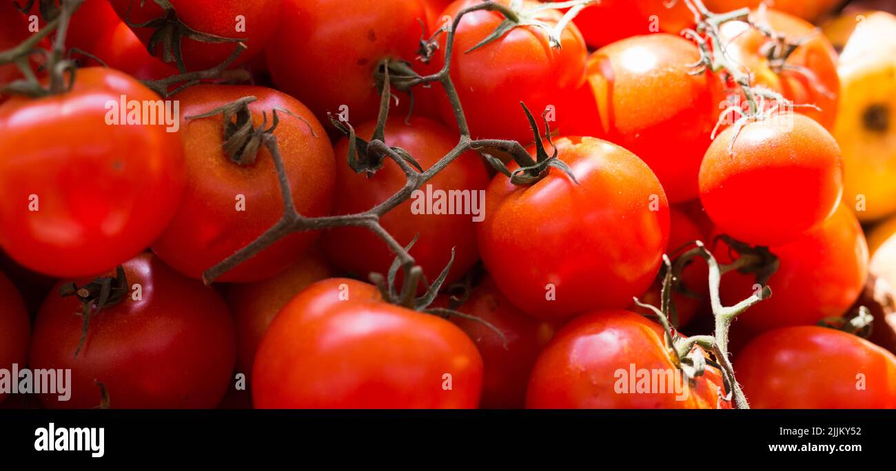 Tomatoes on counter market hi-res stock photography and images - Alamy