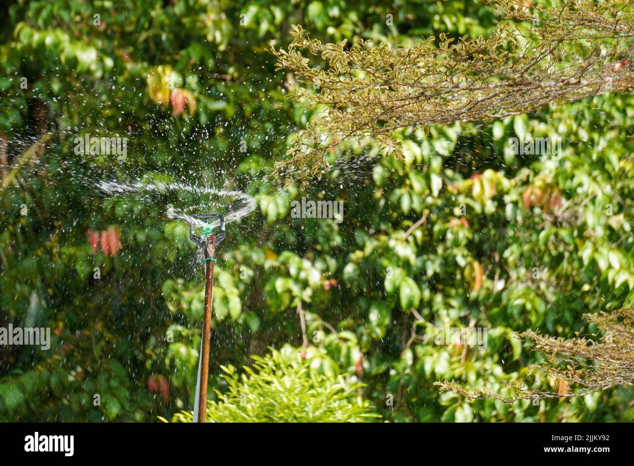 A water sprinkle for splashing water in a park under the bright ...