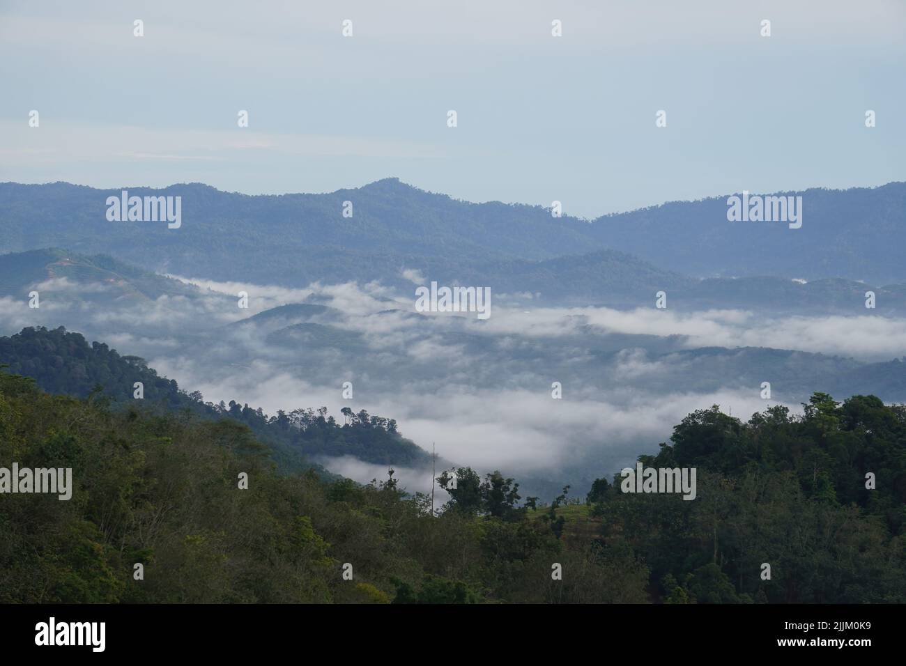 Cloud forest landscape hi-res stock photography and images - Alamy