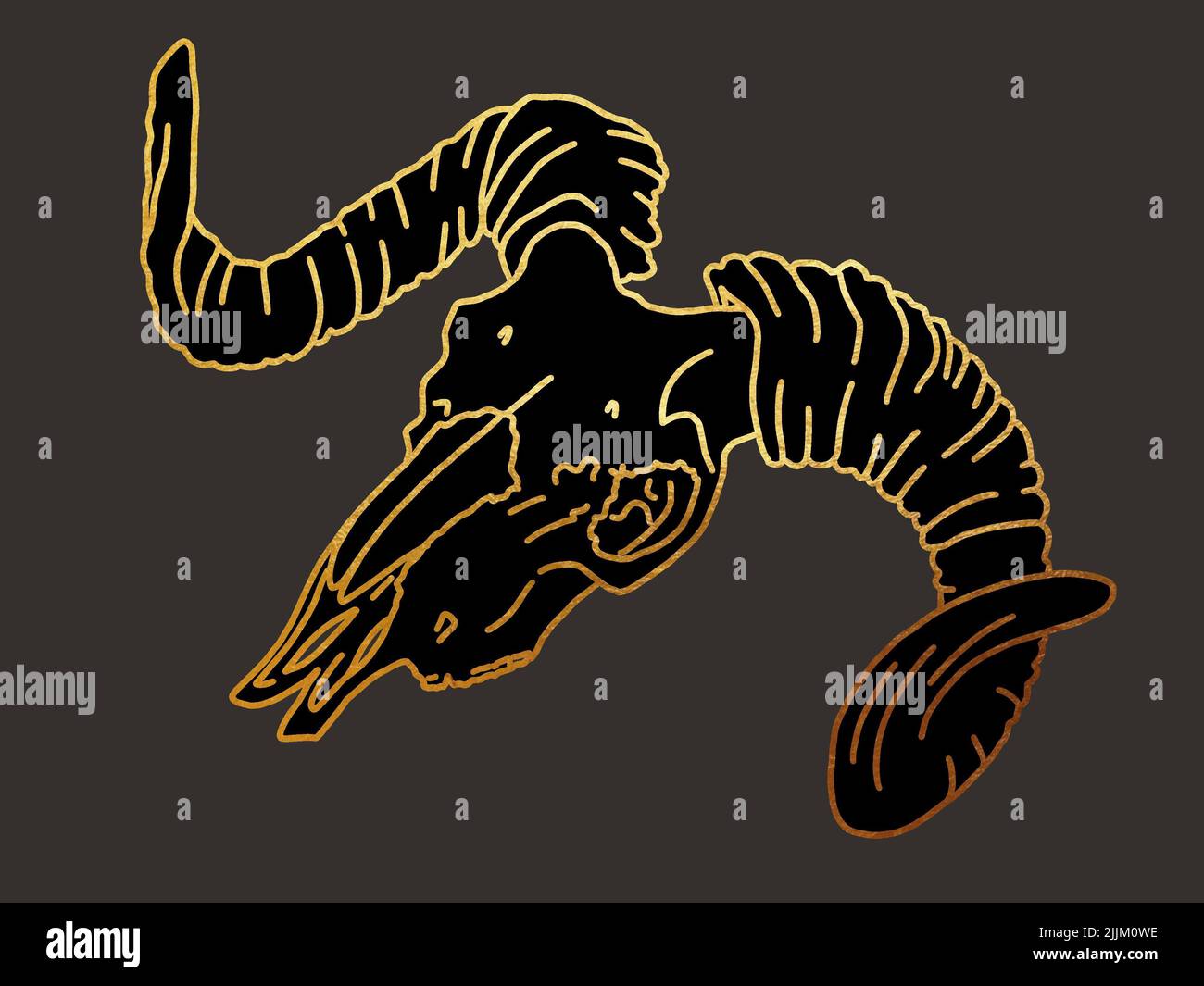 a ram's skull. graphic illustration with golden lines on a dark ...