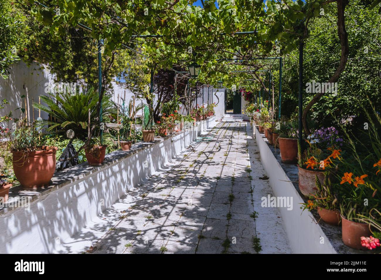 Garden of Saint Euphemia Monastery in Corfu city, one of the oldest ...