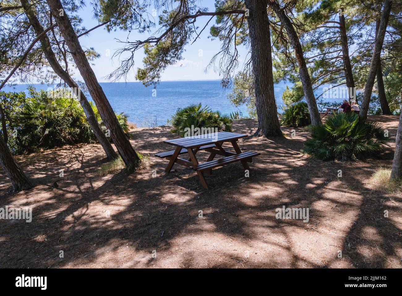 Park around Mon Repos villa in Corfu city on the island of Corfu ...