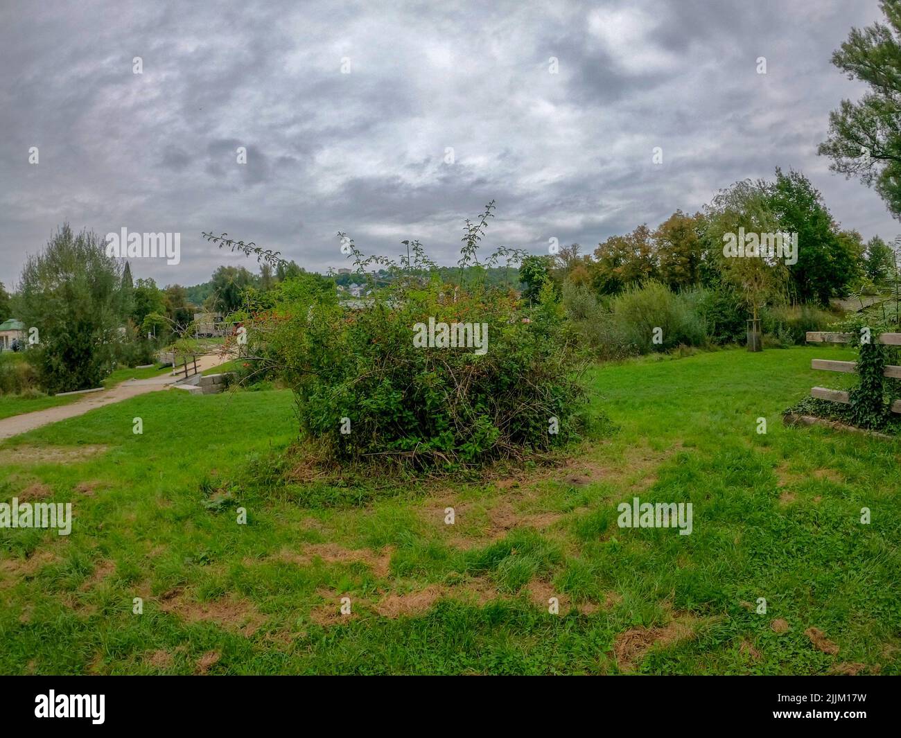 The green plants and bushes on the countryside on a dark cloudy sky ...