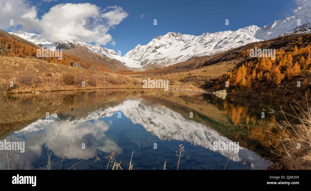Autumn or fall landscape with orange larch tree forest reflected in ...