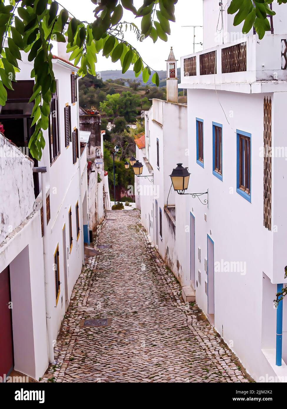 Vertical shot path between hi-res stock photography and images - Alamy