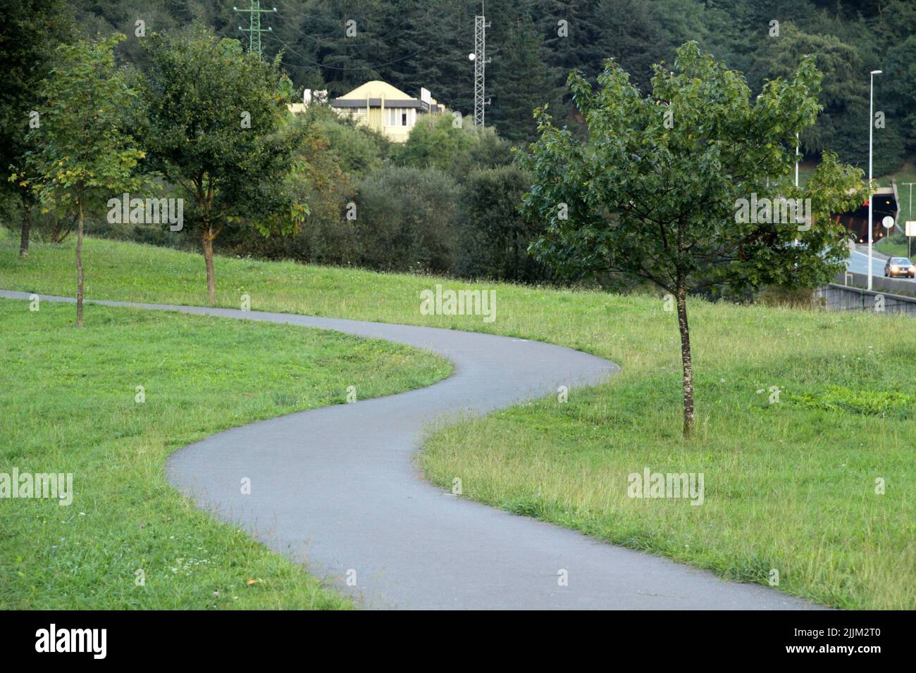 A natural view of a footpath sidewalk surrounded with green grass Stock ...