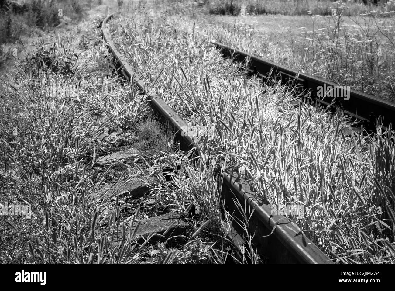 Old railroad tracks overgrown with grass. Railroad black and white ...