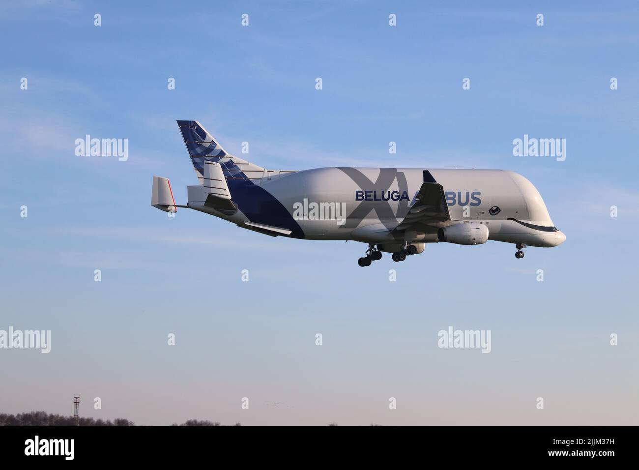 The new airbus A330 Beluga XL landing at Hawarden airport in North ...