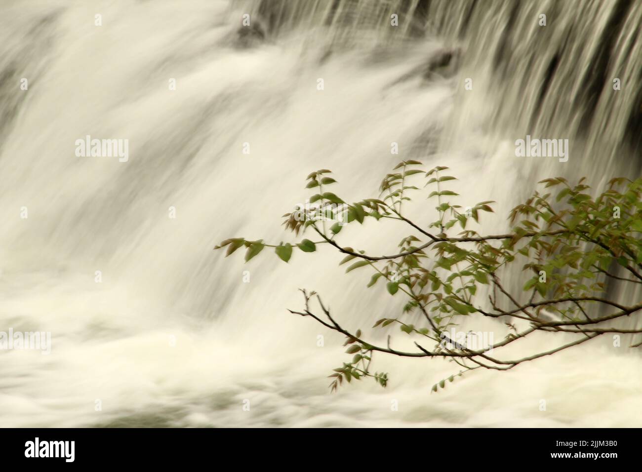 A beautiful view of waterfalls with long exposure with tree branches on ...