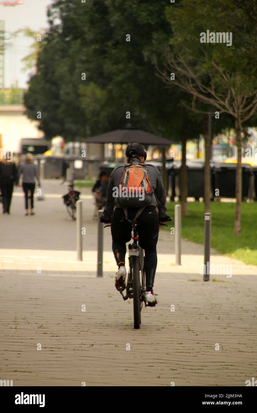 A vertical back view of a biker in an urban environment, Frankfurt ...
