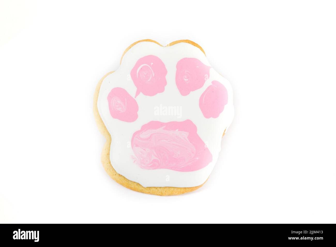 Puppy paw shape decorated with royal icing, sugar cookie isolated over ...