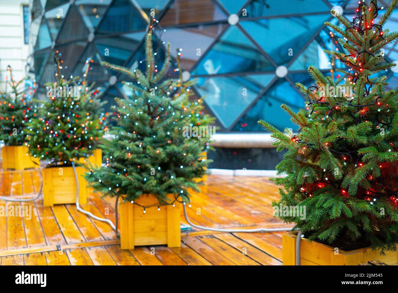 The small Christmas trees with electric garland of light bulbs in small ...