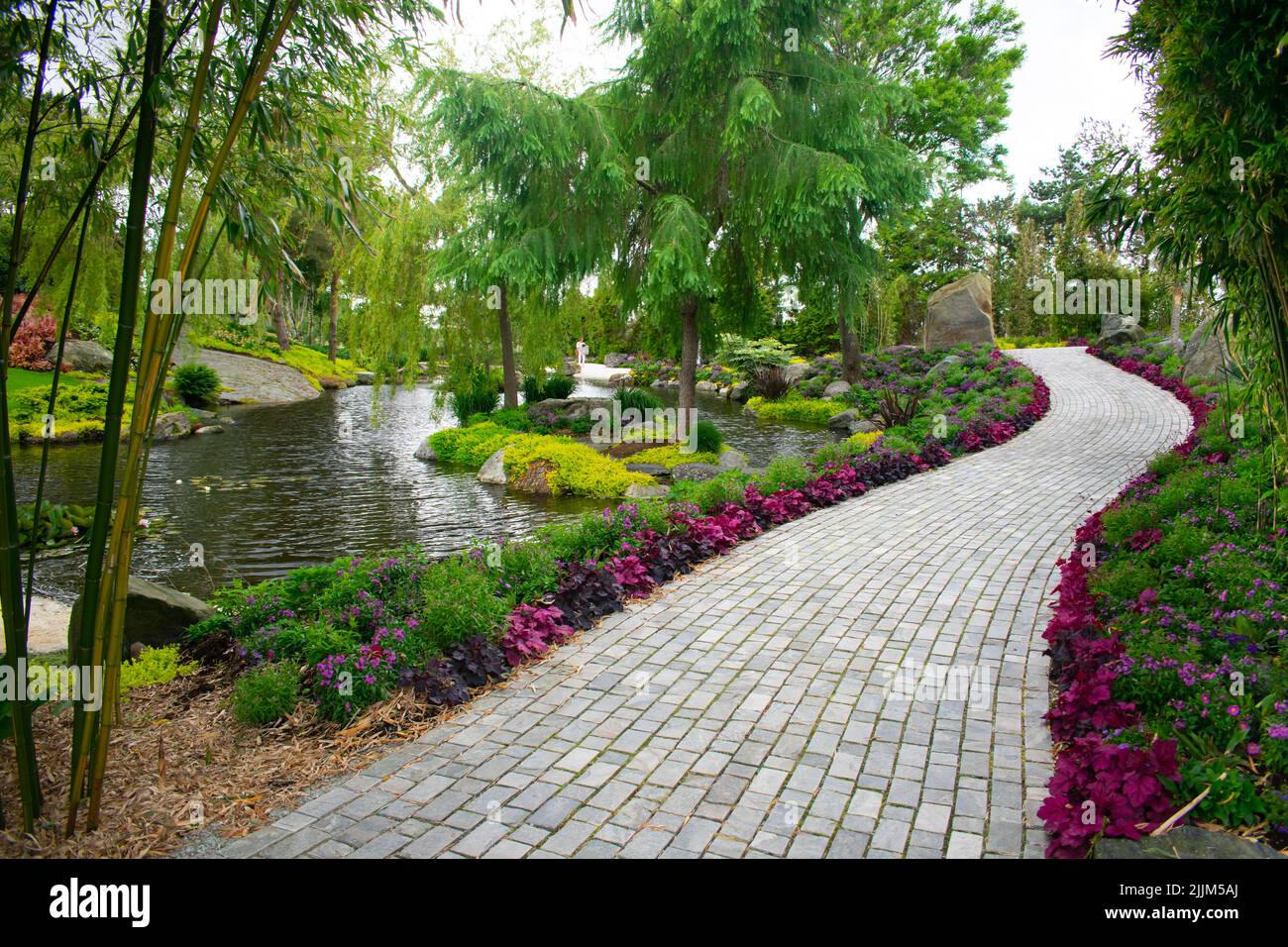 Scandinavian flower hi-res stock photography and images - Alamy