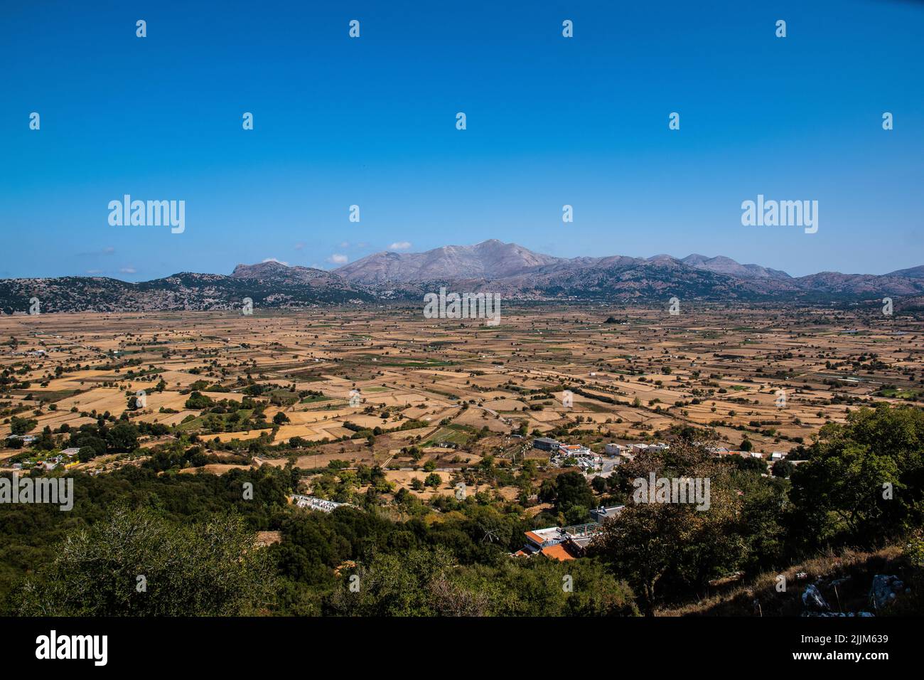 Horizontal shot high tree hi-res stock photography and images - Alamy