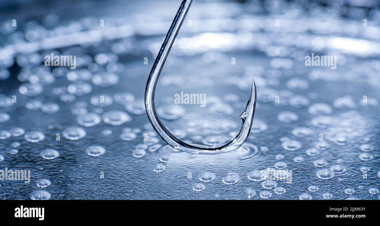 Water hawk hi-res stock photography and images - Alamy