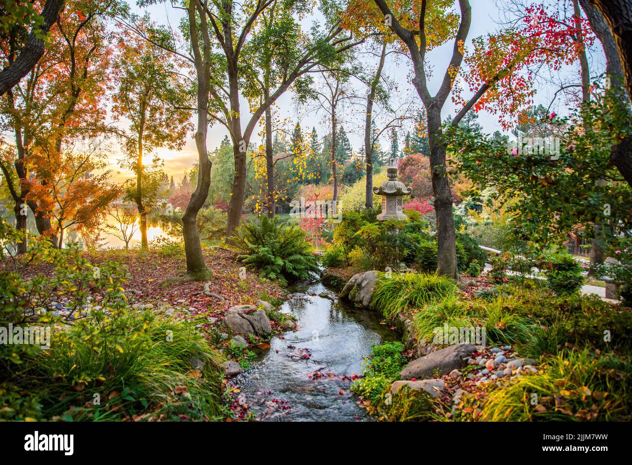 The sunset igniting vibrant colors inside the Japanese gardens of ...
