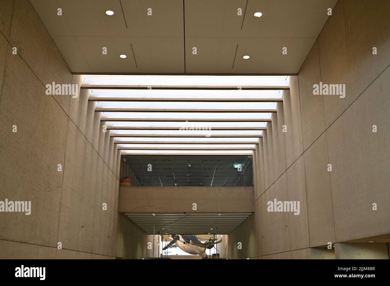 A walkway to the museum in Brisbane, Australia Stock Photo - Alamy