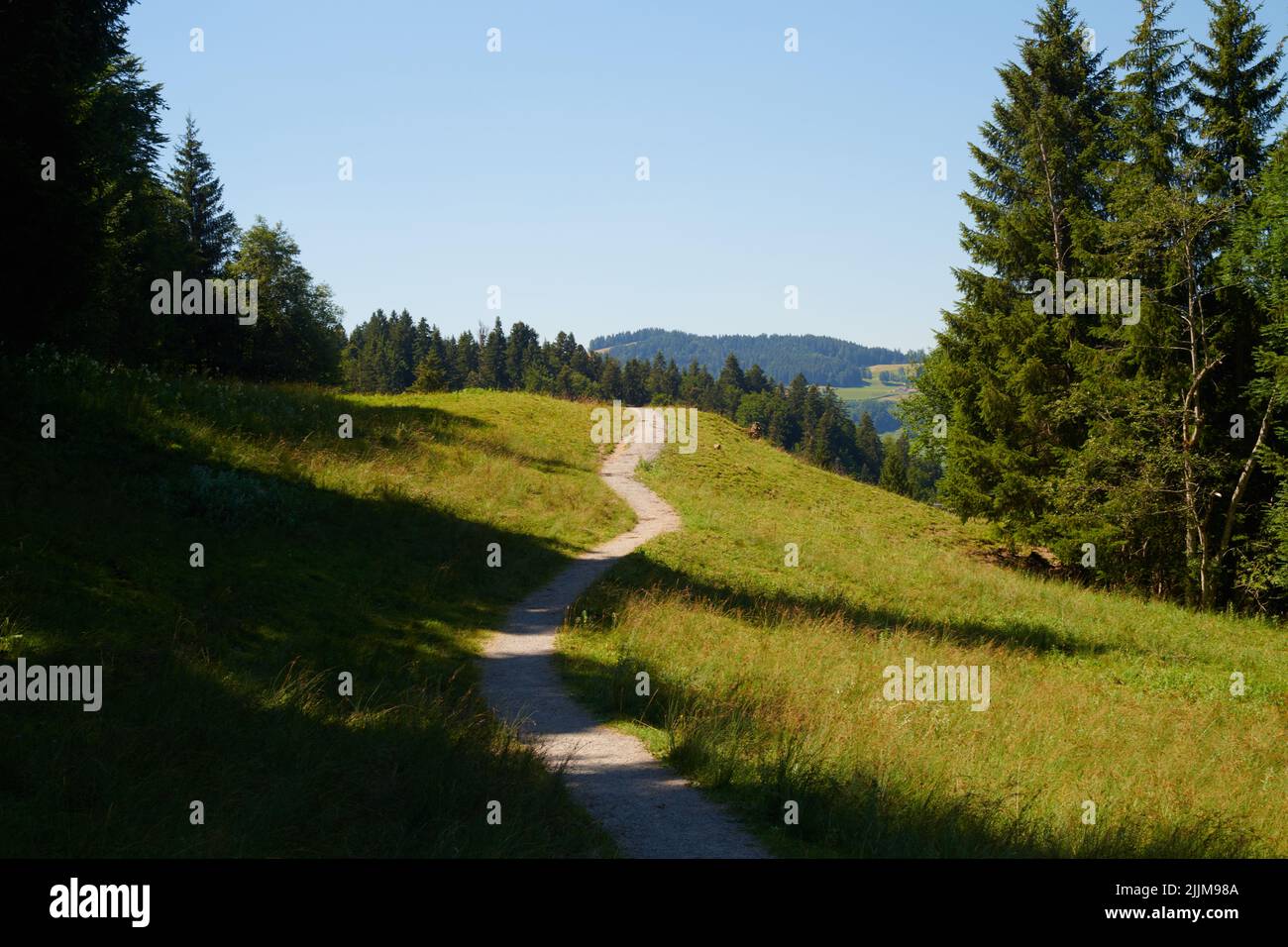 The Bavarian Alps and hills in summer sunshine are green and stunningly ...