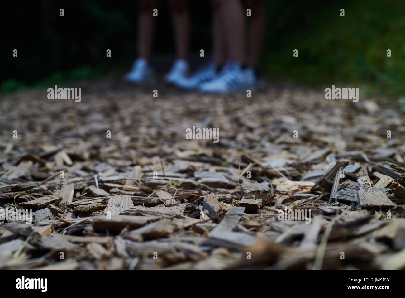 Wooden tree bark on the ground to sustain a mountain path Stock Photo ...