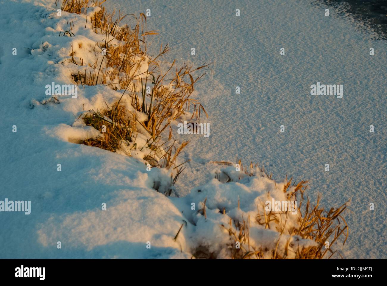 A closeup of snowy ground and dry grass Stock Photo - Alamy