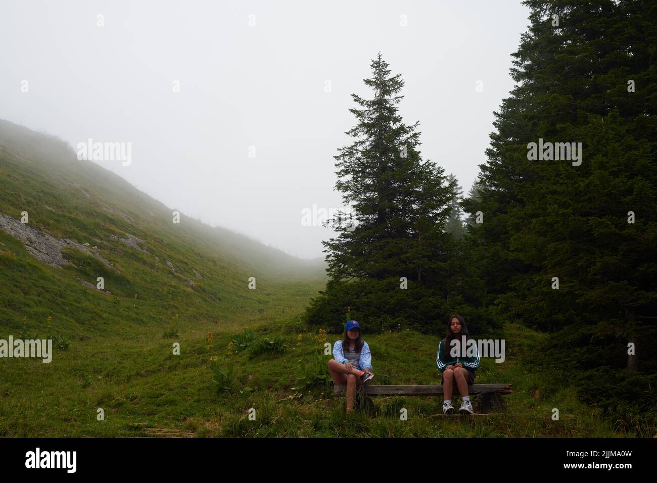 bayern, bavaria, germany, alps, alpes, mountains, summer, hills ...
