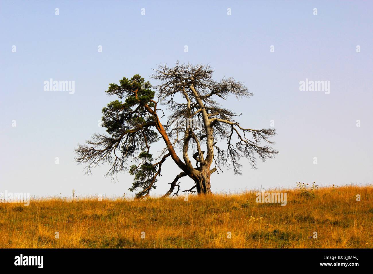 Lonely environment hi-res stock photography and images - Alamy