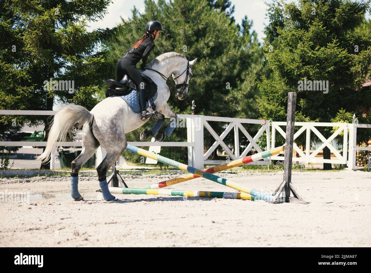 Equestrian sport. Portrait of young woman, female rider training at ...