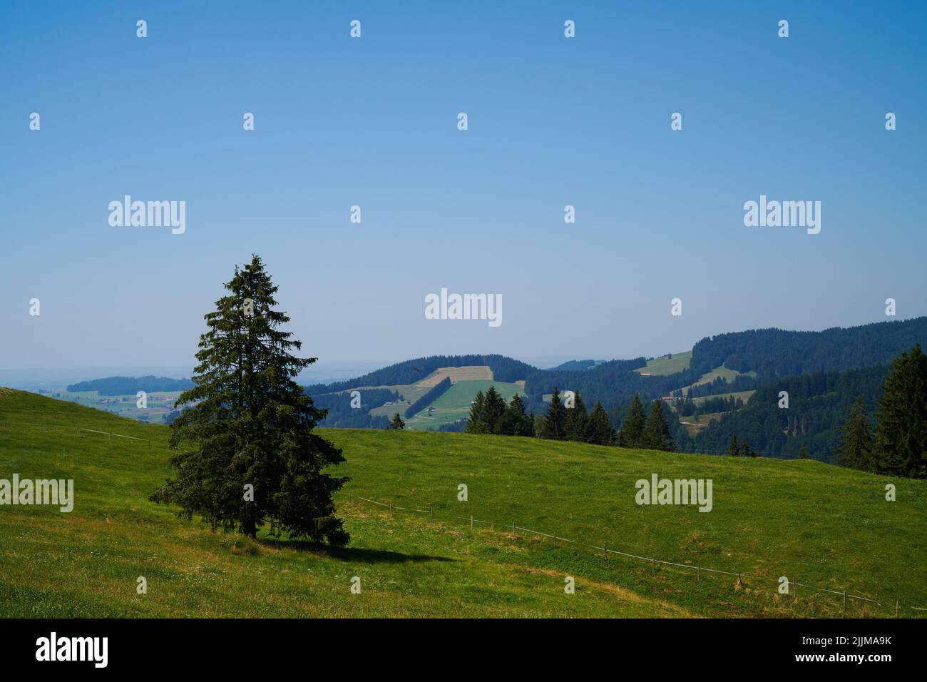 Landscape of the green hills in the Bavarian Alps Stock Photo - Alamy