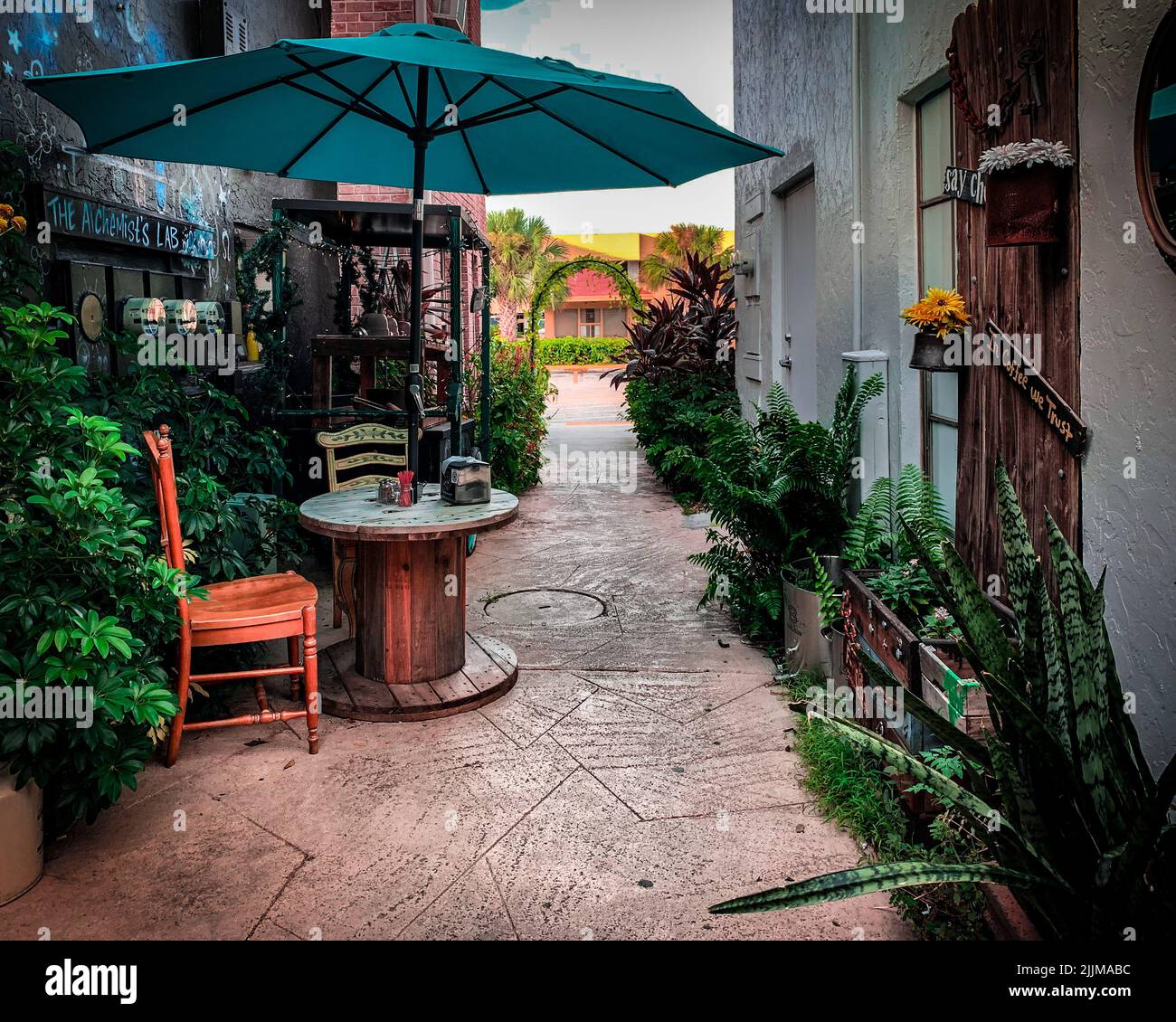 Narrow street with plants hi-res stock photography and images - Alamy