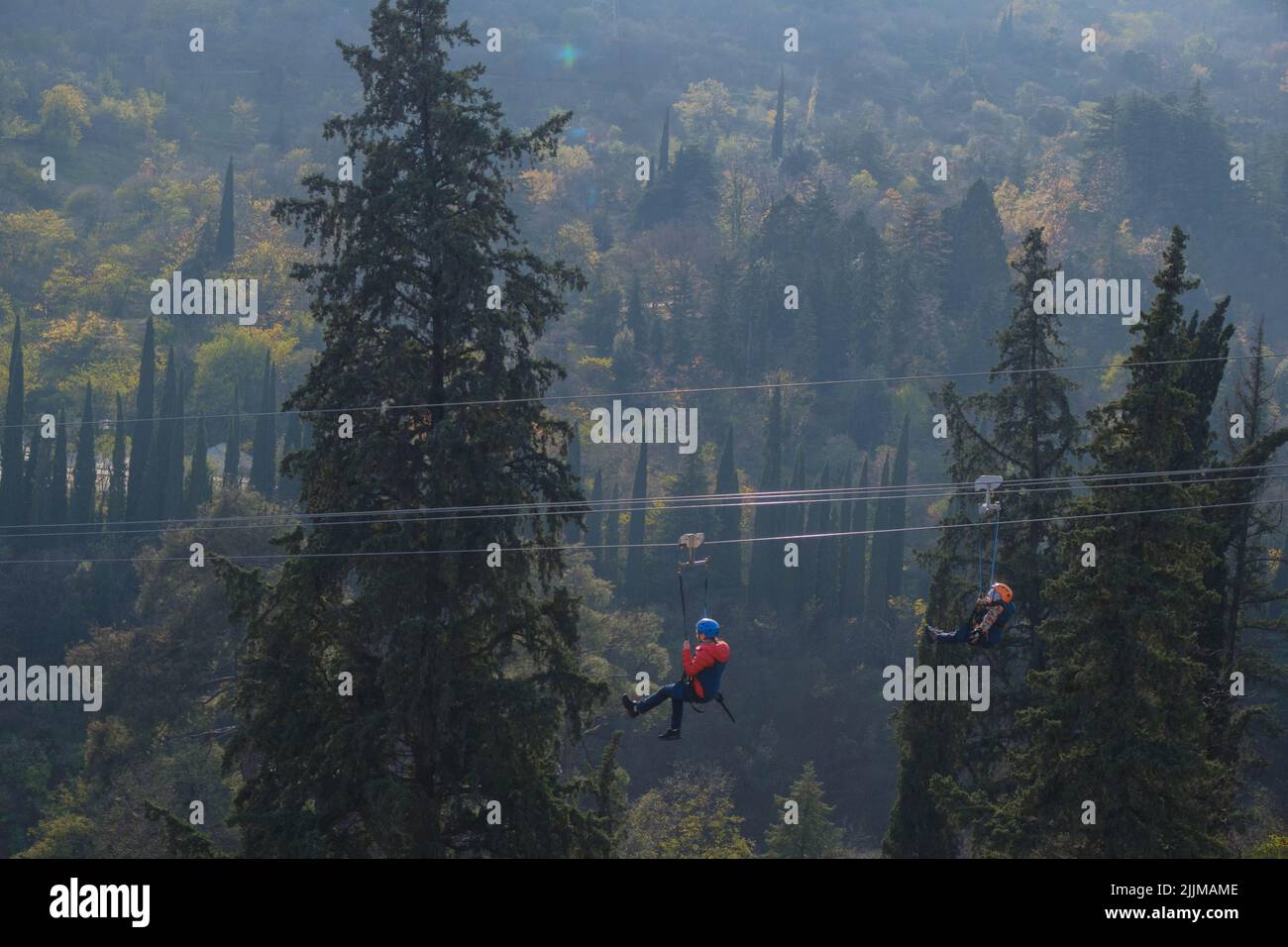 A horizontal shot of zip line on Georgian forest with green trees in ...