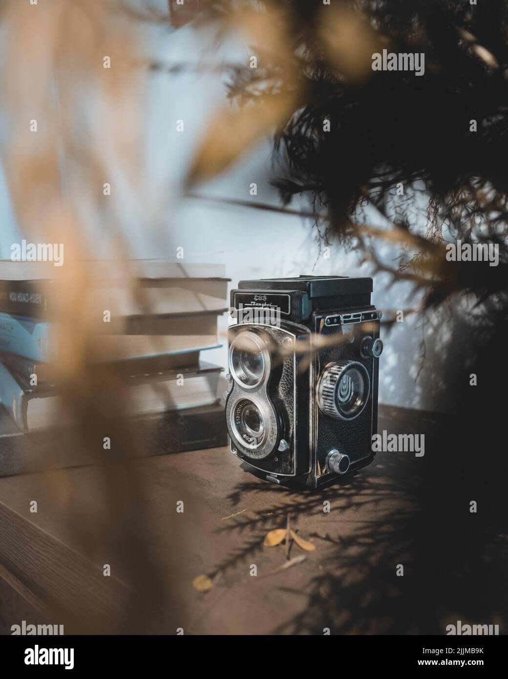Vintage studio photography hi-res stock photography and images - Alamy