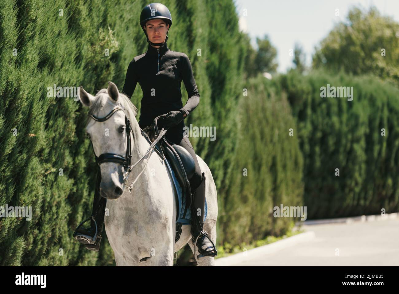 Equestrian sport. Portrait of young woman, female rider training at ...