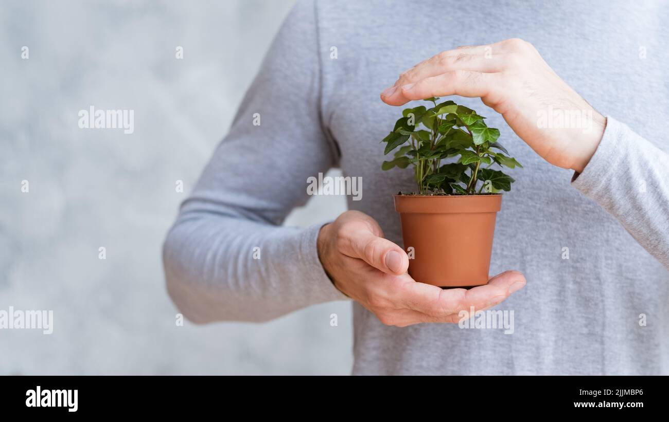 Protect the plant hi-res stock photography and images - Alamy