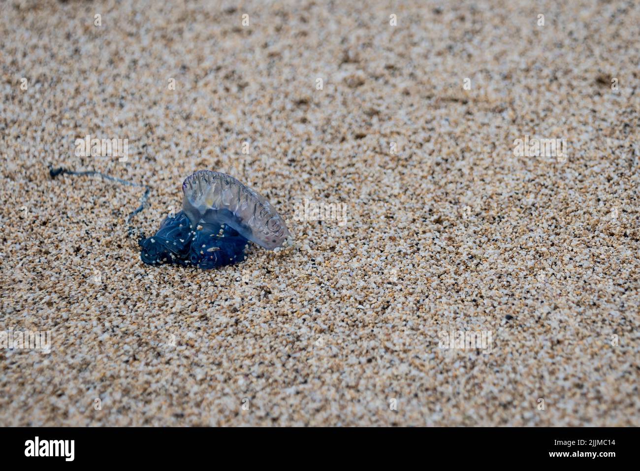 Kaena point oahu hi-res stock photography and images - Alamy