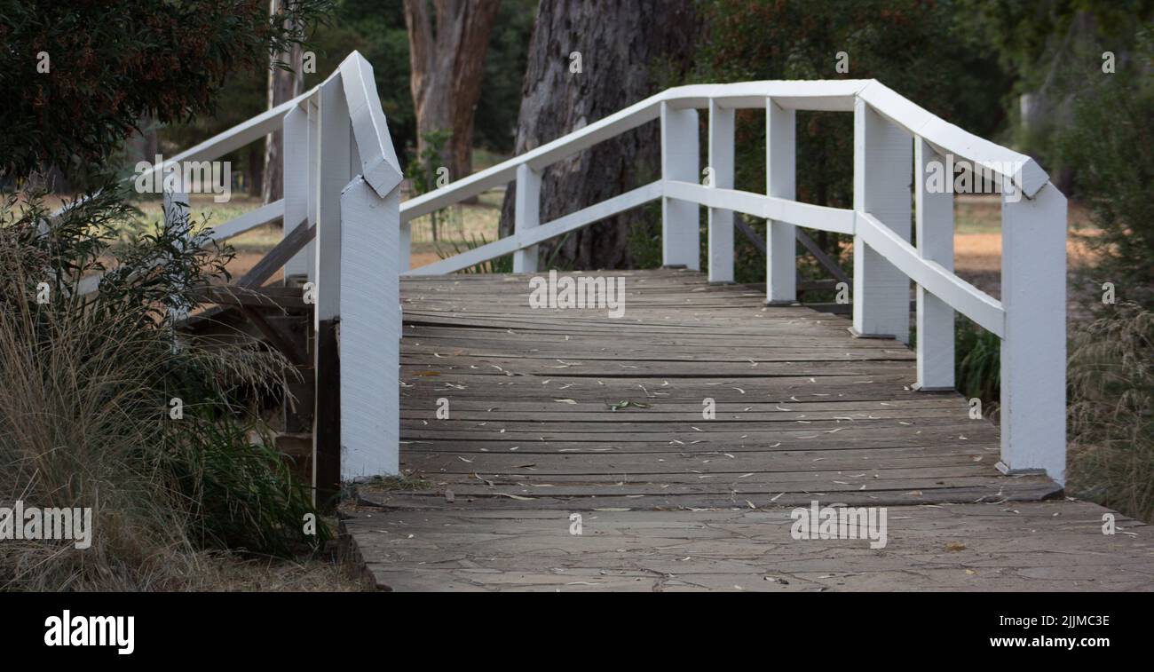 Bridge in nature hi-res stock photography and images - Alamy