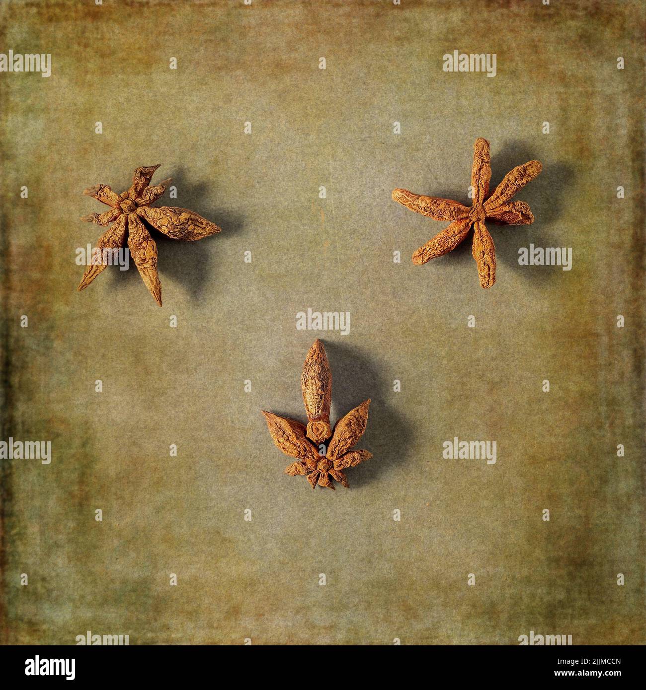A top view of star-shaped cinnamons on a grungy background Stock Photo ...