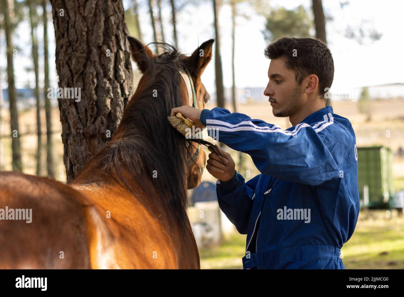 Teenage rancher hi-res stock photography and images - Alamy