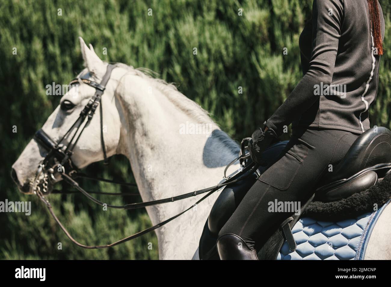 Equestrian sport. Portrait of young woman, female training at riding ...