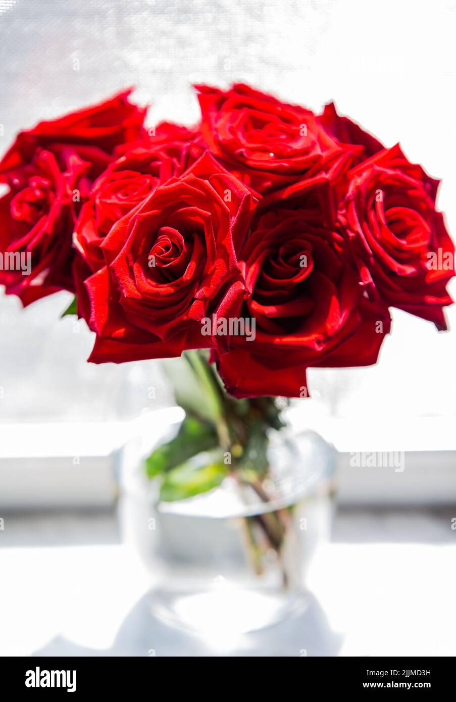 A bunch of fresh red roses in a glass vase beside a window Stock Photo ...