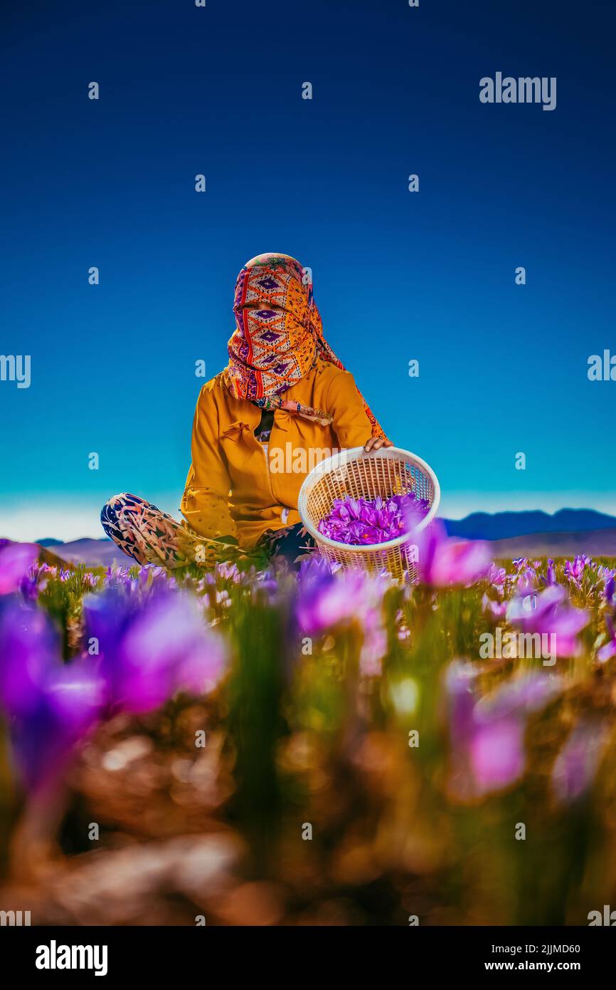 Saffron woman hi-res stock photography and images - Alamy