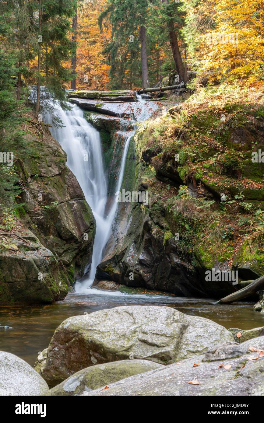 Beautiful waterfall with trees hi-res stock photography and images - Alamy